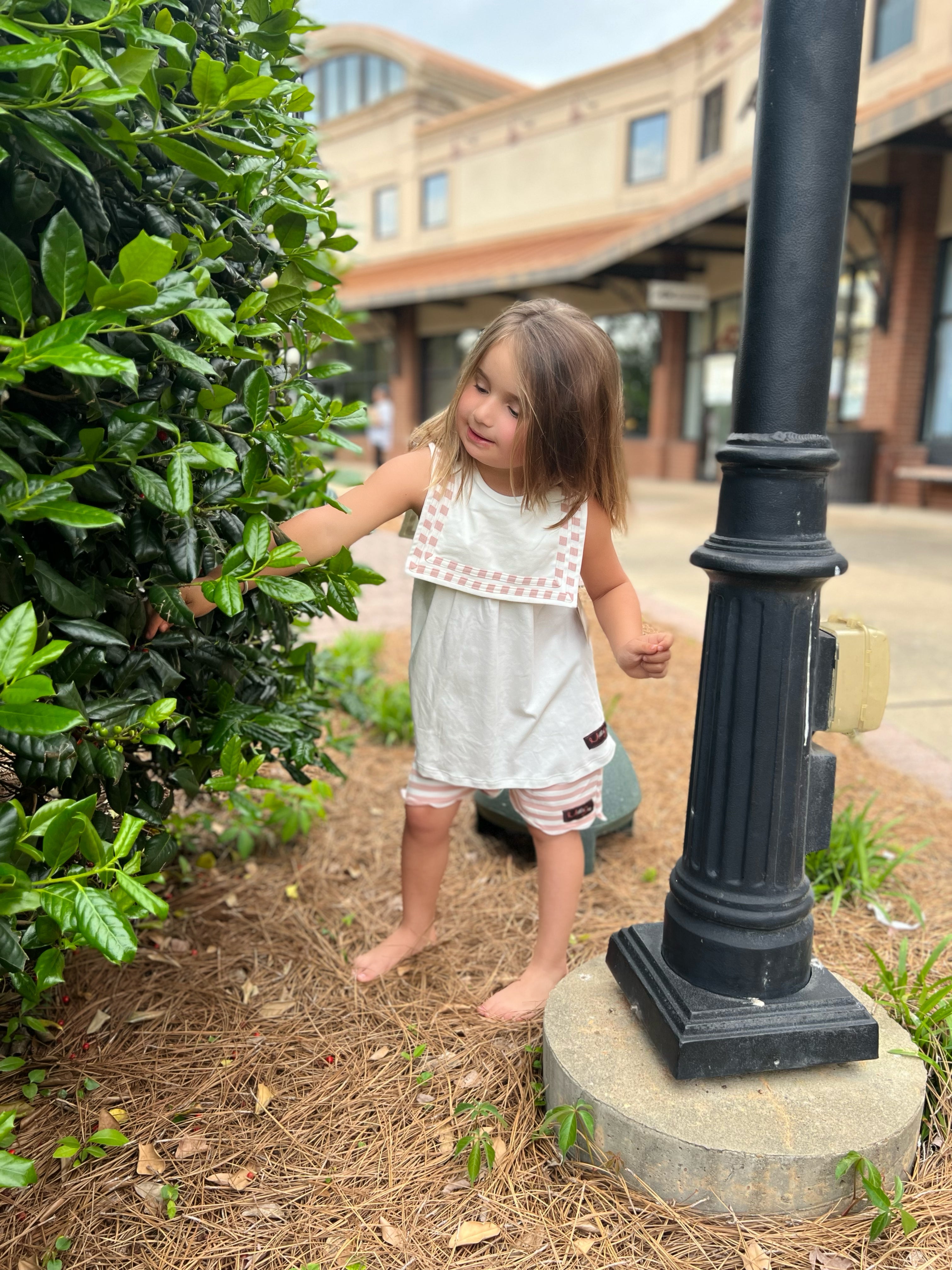 Addison Short Set – Honey Blush Fashion